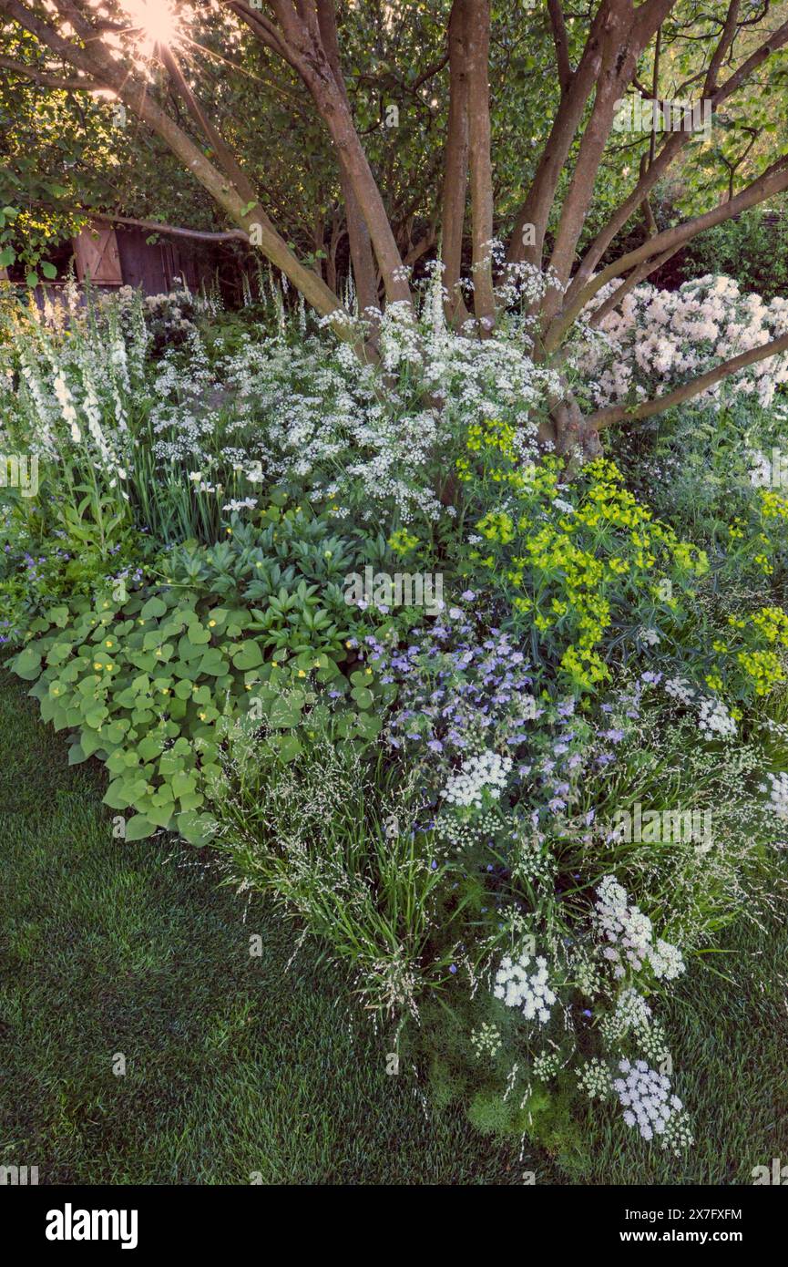 London, UK. 20th May, 2024. Opening day at the 2024 Royal Horticultural ...
