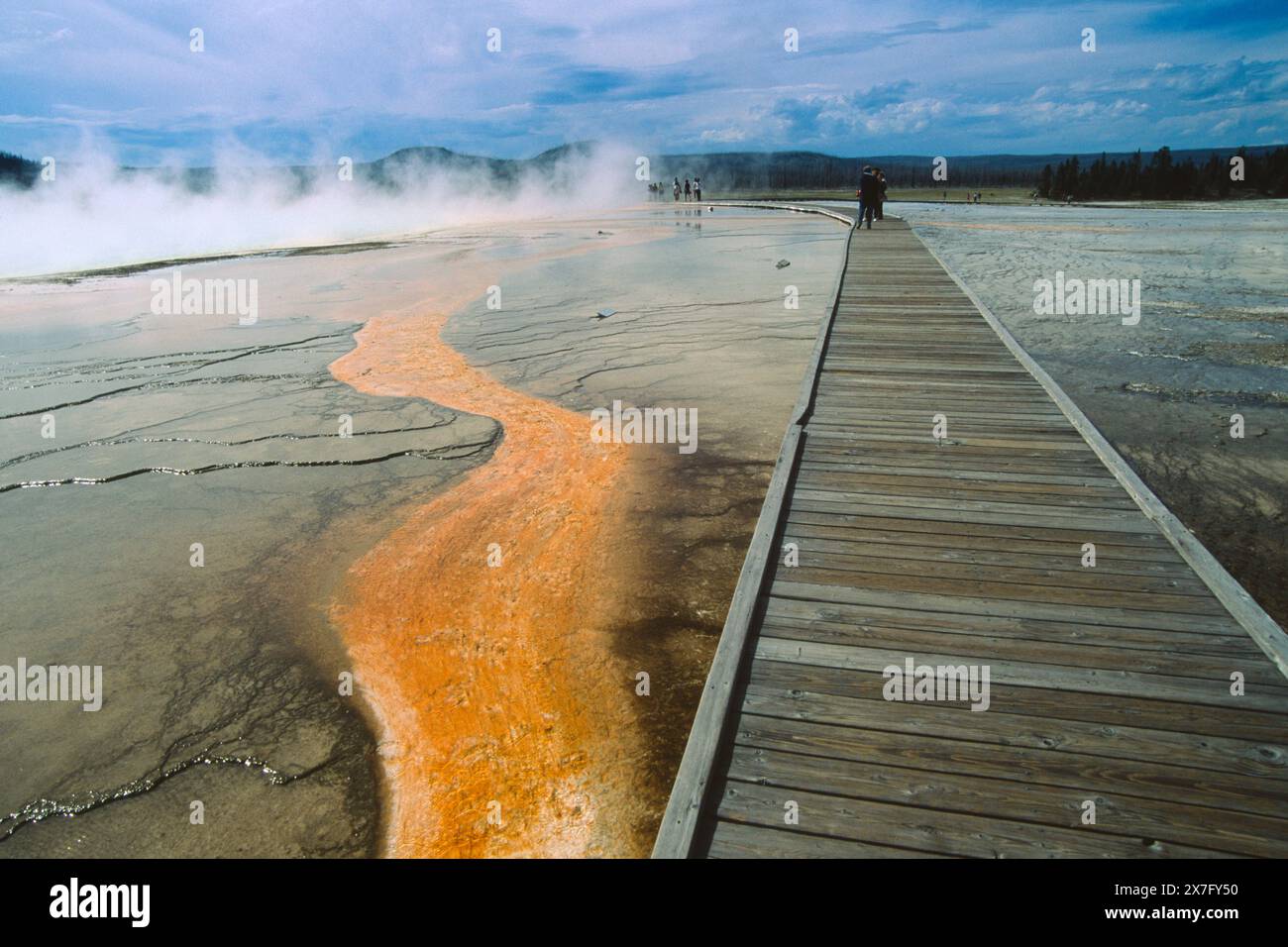 USA, Wyoming,Yellowstone National Park, Geothermal Steam Rising Out ...