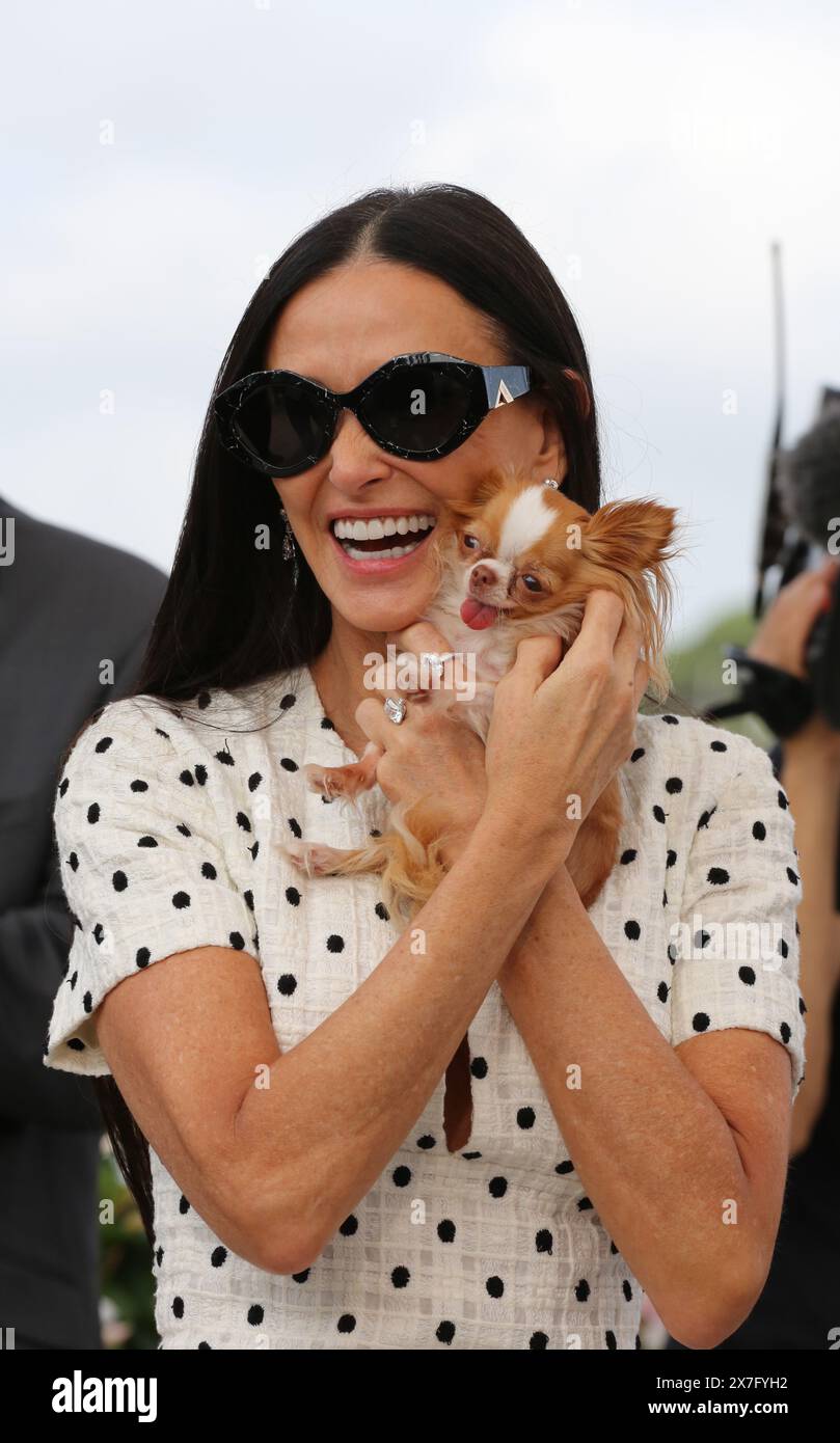 Cannes, France. 20th May, 2024. Demi Moore and her dog Pilaf at The ...