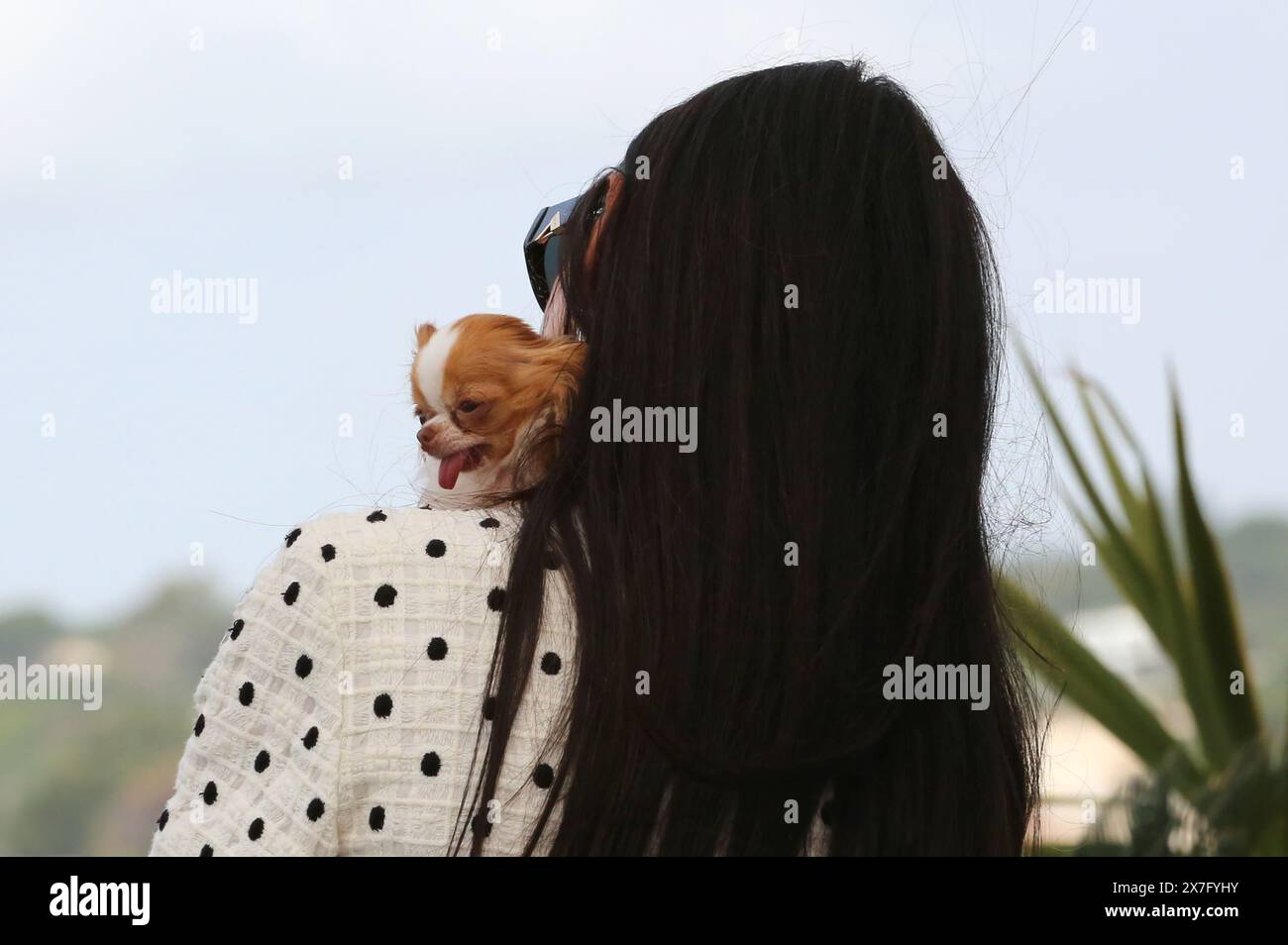 Cannes, France. 20th May, 2024. Demi Moore and her dog Pilaf at The ...