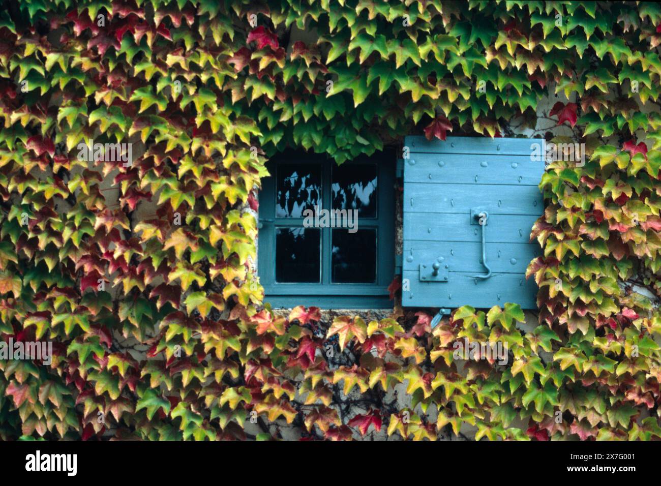 Leaf shutter hi-res stock photography and images - Alamy