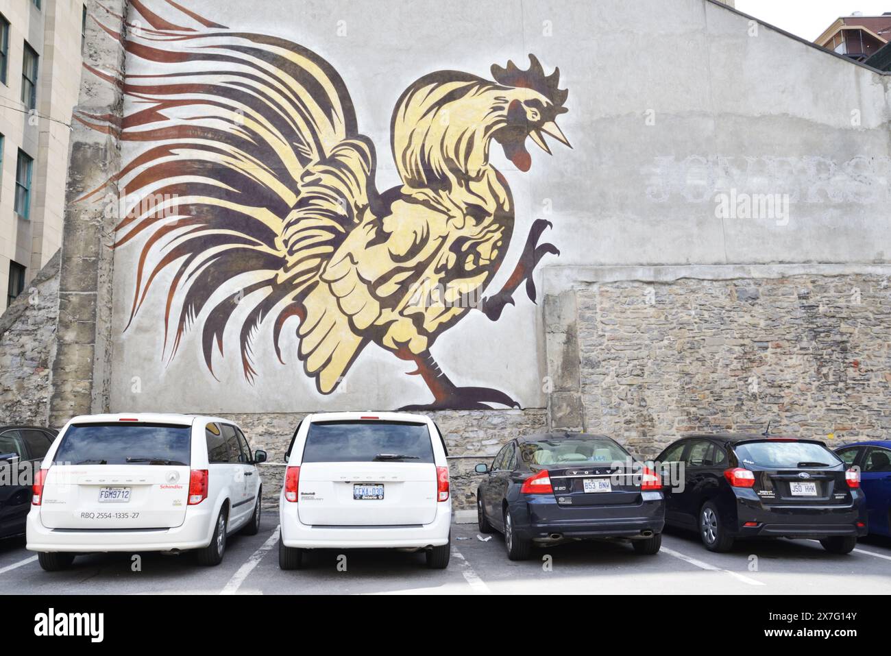 Rooster of the car park Stock Photo - Alamy