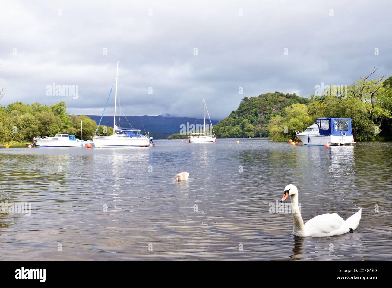Highland freshwater loch hi-res stock photography and images - Alamy