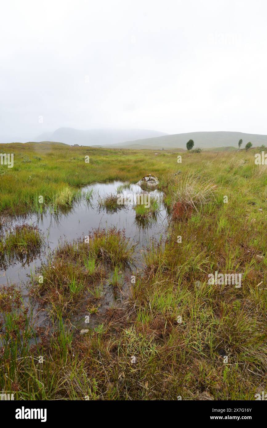 Humid highlands hi-res stock photography and images - Alamy