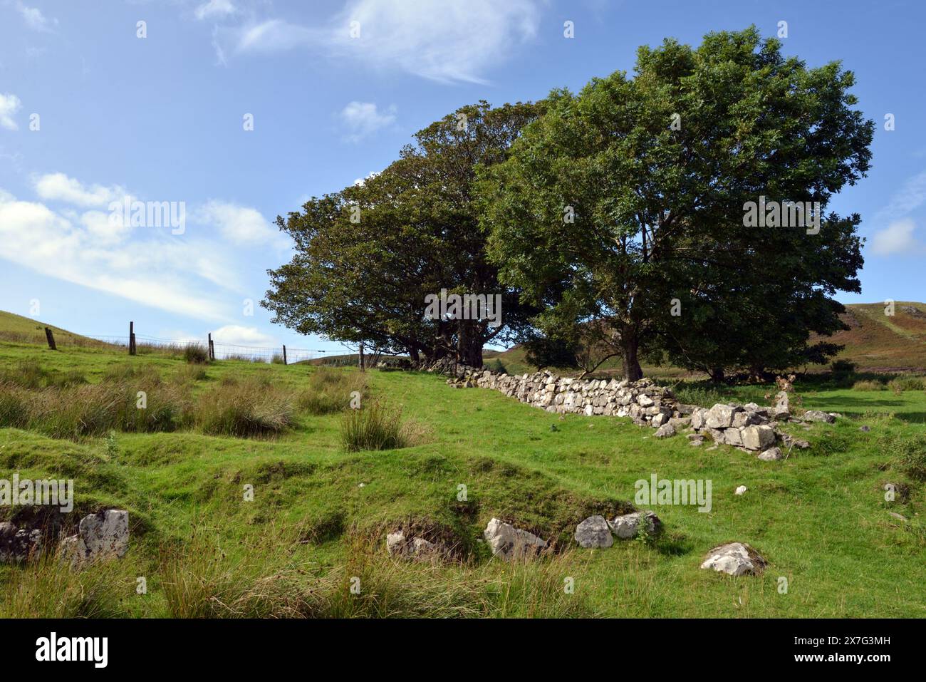 Small dike in the scottish countryside Stock Photo - Alamy