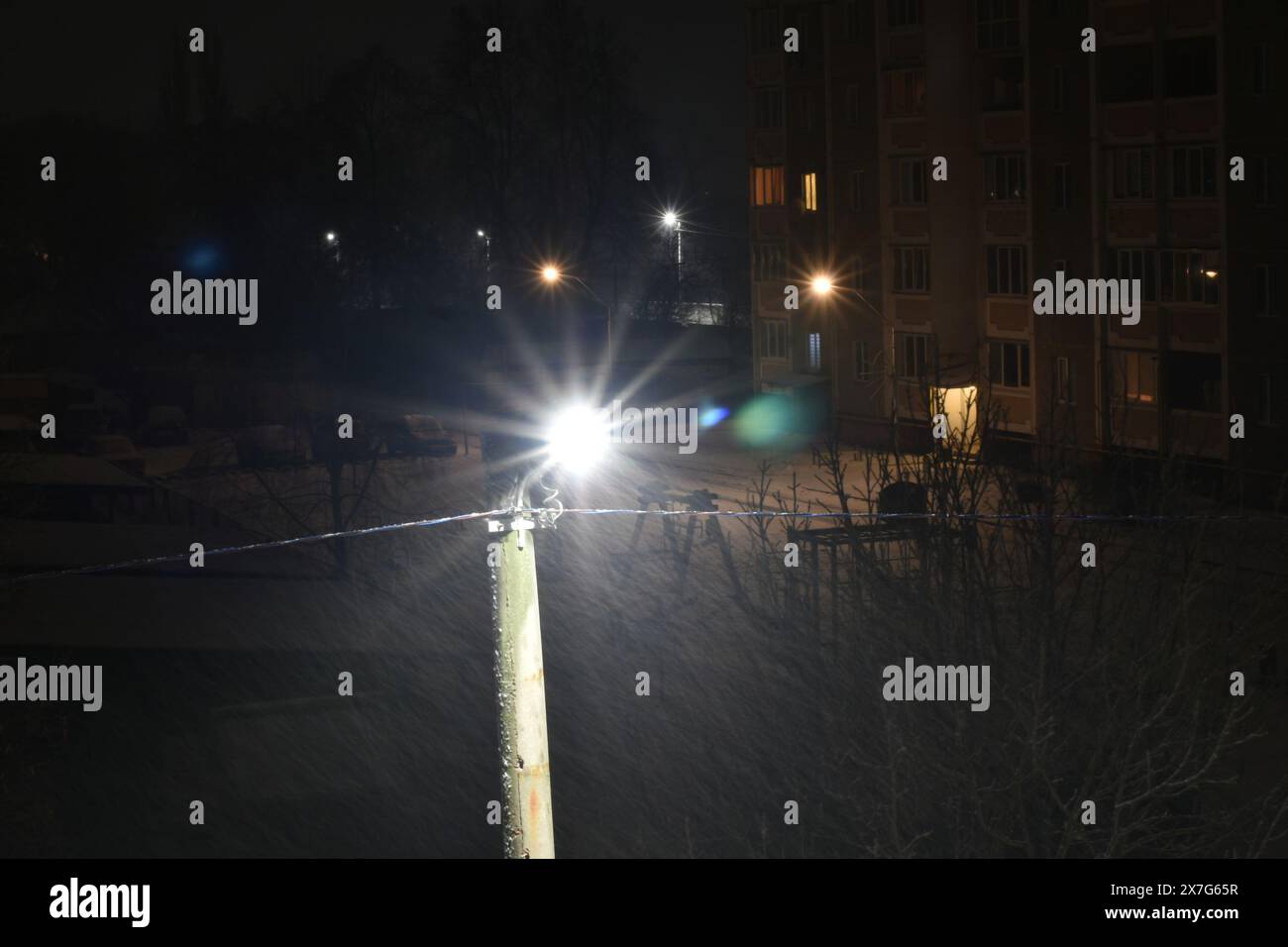 Falling snow tree night hi-res stock photography and images - Alamy