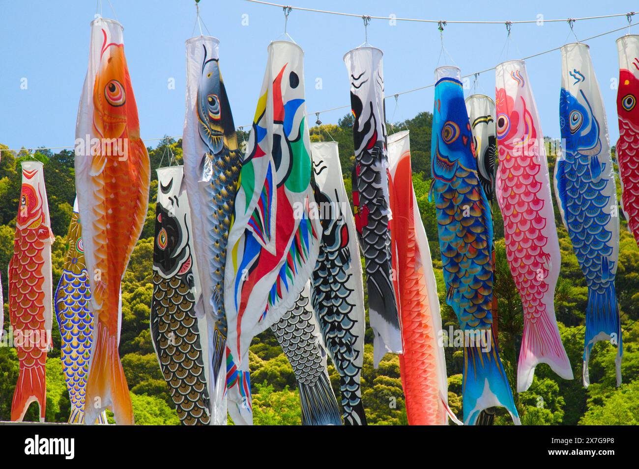 Japan, Kyoto, koinobori, koi carp windsocks, boys day Stock Photo - Alamy