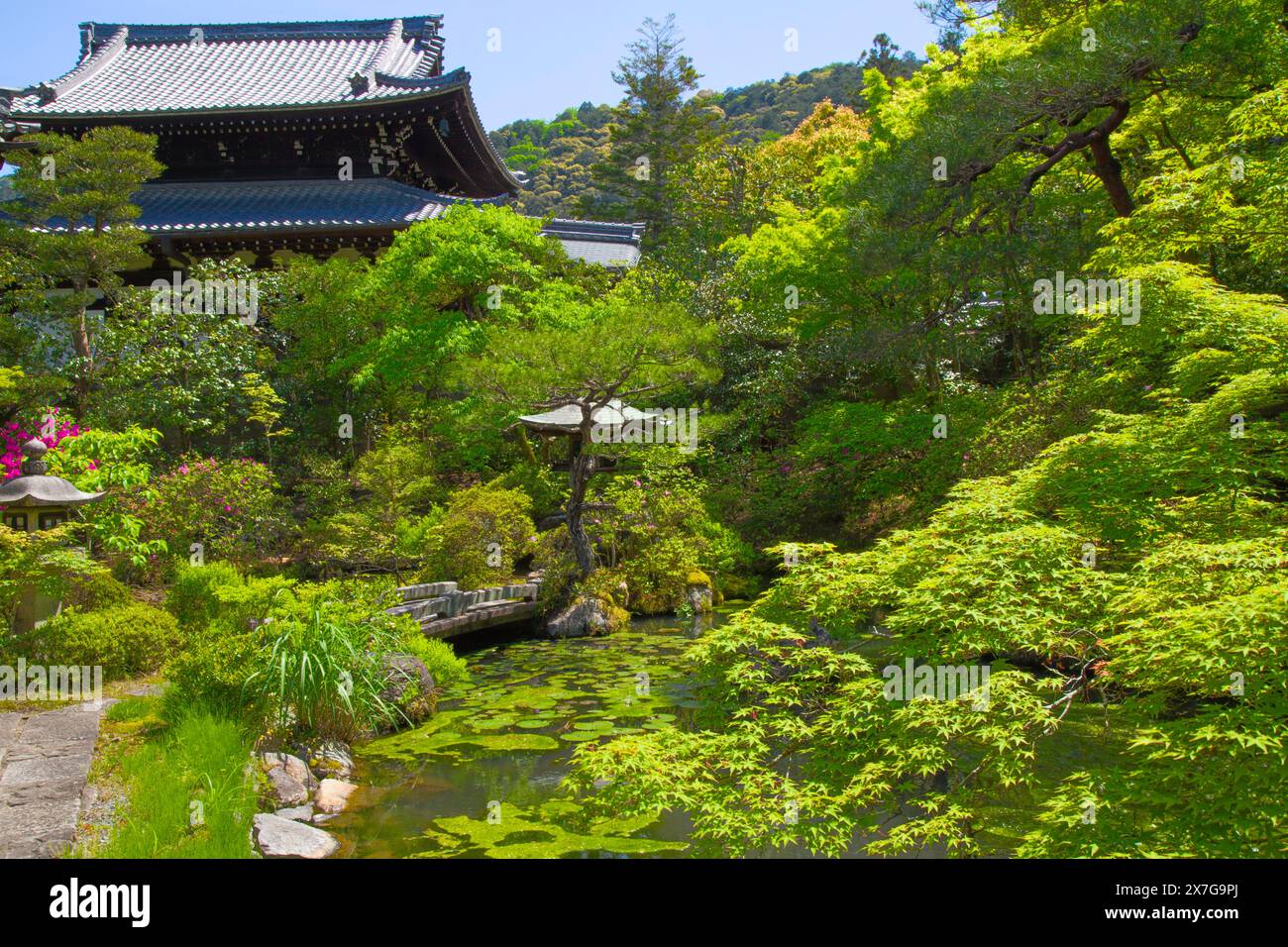 Jishi in temple hi-res stock photography and images - Alamy