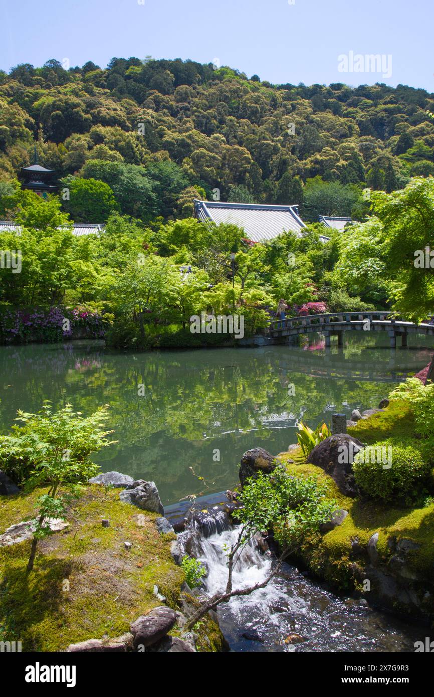 Japan, Kyoto, Eikando Zenrinji Temple, garden Stock Photo - Alamy