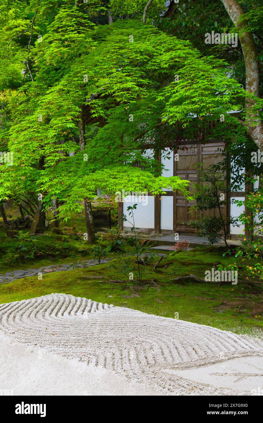 Japan, Kyoto, Honen-in Temple, garden Stock Photo - Alamy