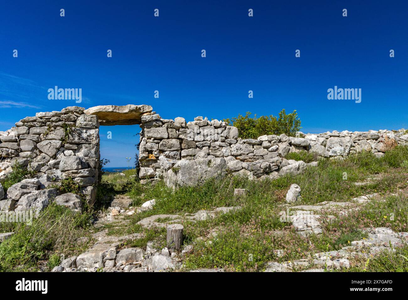 Monkodonja settlement from the Bronze Age, archaeological site of ...