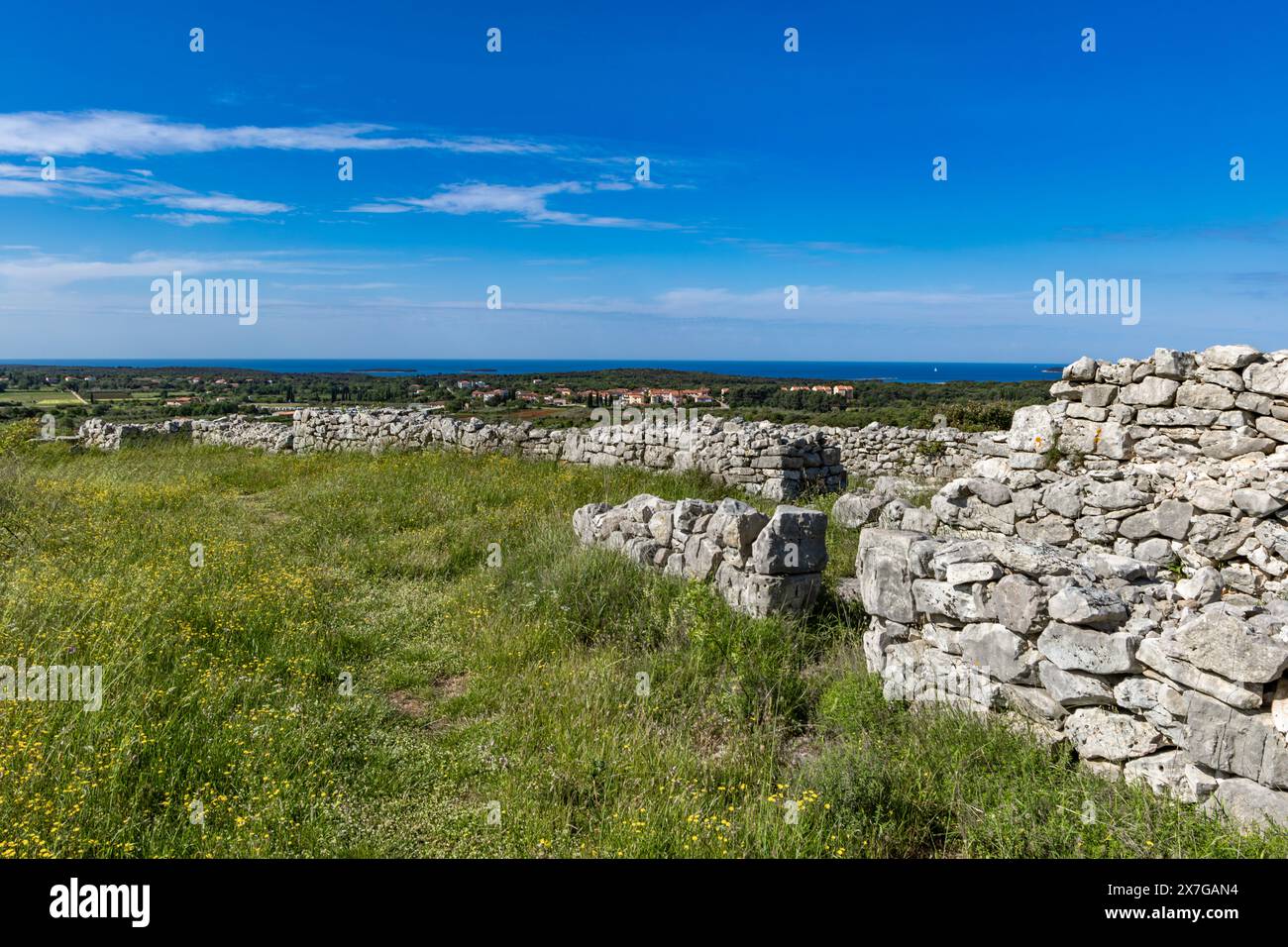 Monkodonja settlement from the Bronze Age, archaeological site of ...