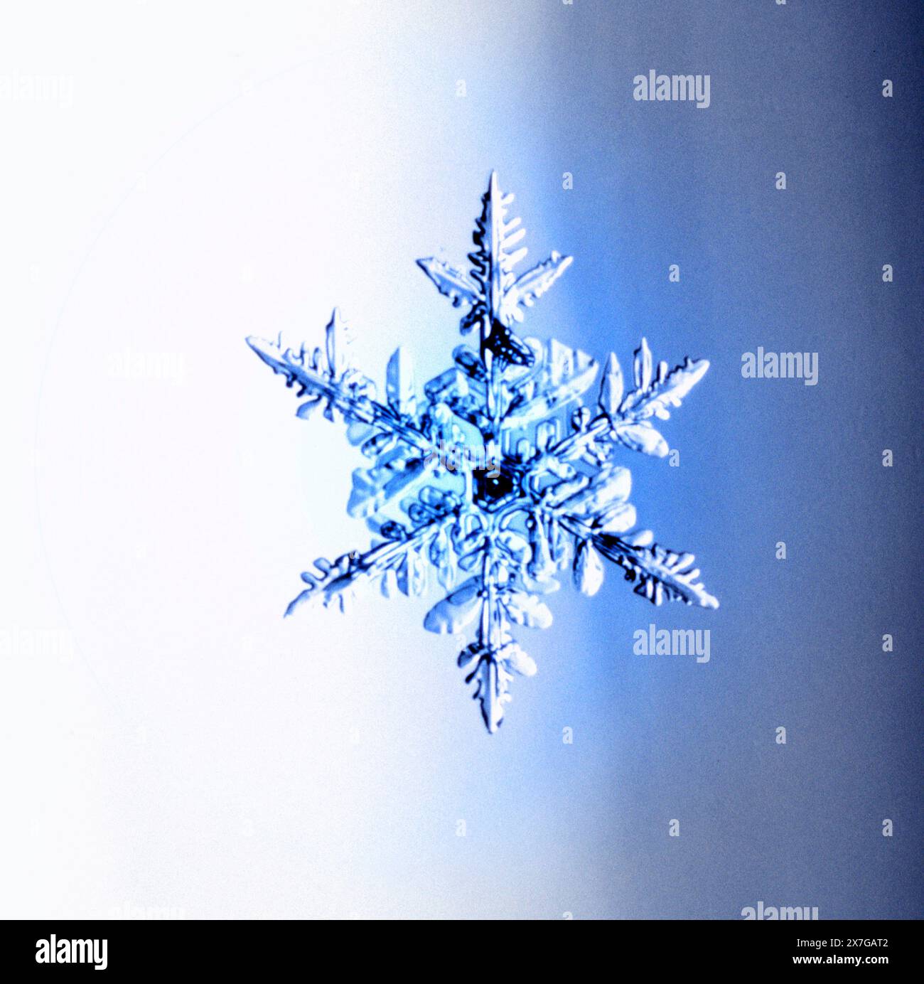 Snow crystal hi-res stock photography and images - Alamy