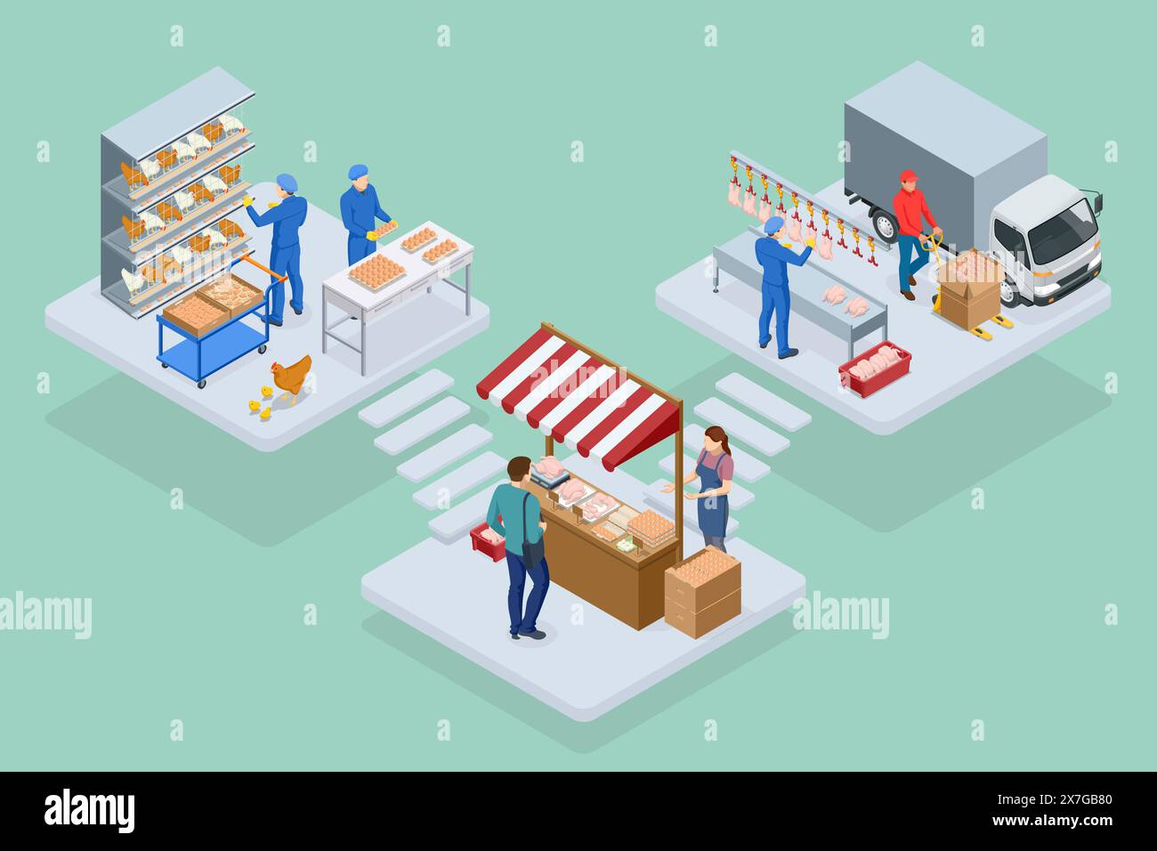 Isometric Poultry Farming. Poultry farm building, production of chicken ...