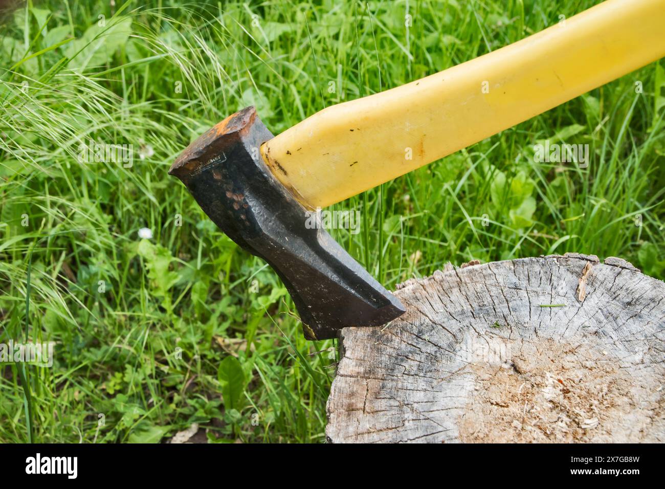 Ax with yellow handle stuck in old stump Stock Photo - Alamy