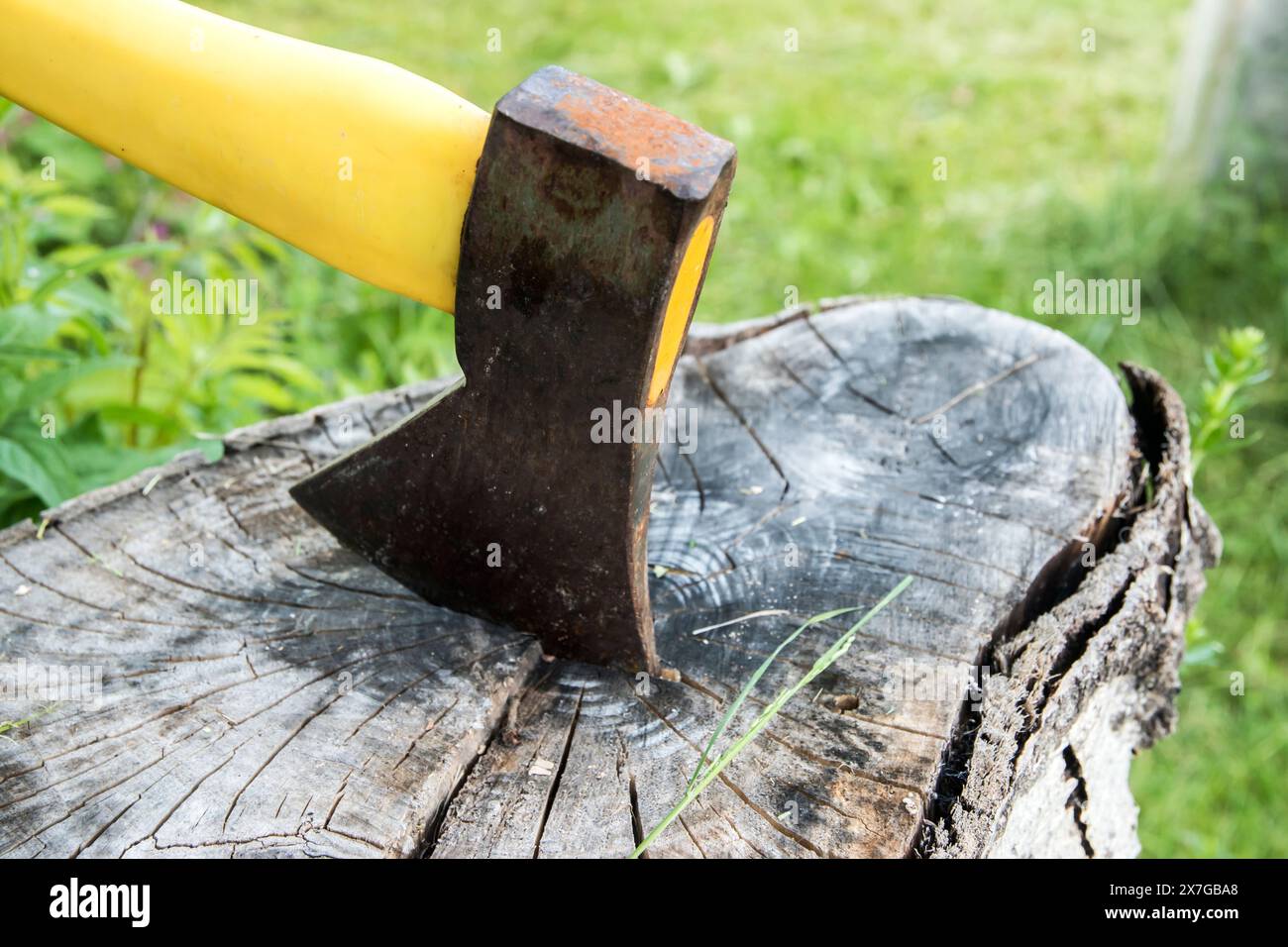 Ax with yellow handle stuck in old stump Stock Photo - Alamy