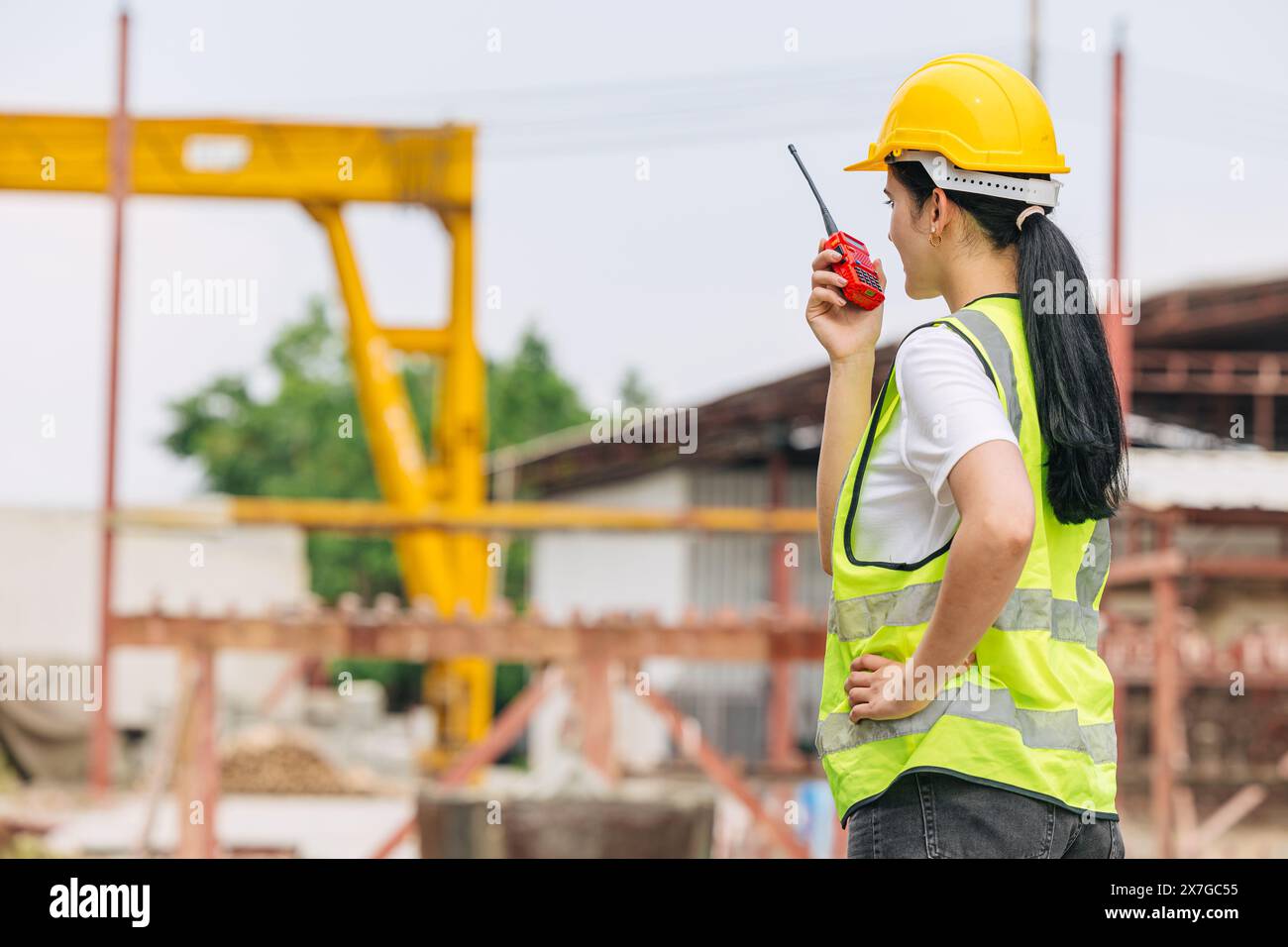 Portrait Hispanic Latin Indian beautiful smart engineer woman worker ...