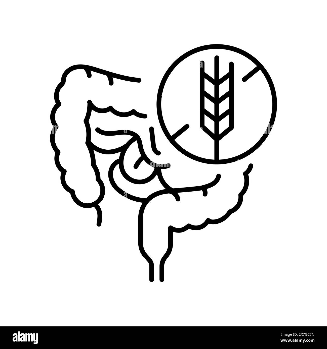 Coeliac Disease Logo The Anatomy Of Coeliac Chart/Poster