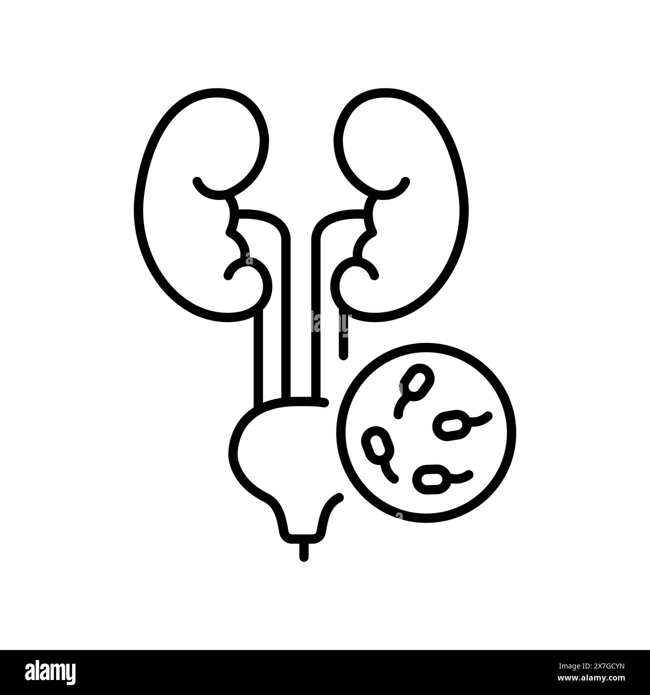 Logo vector urologist black hi-res stock photography and images - Alamy