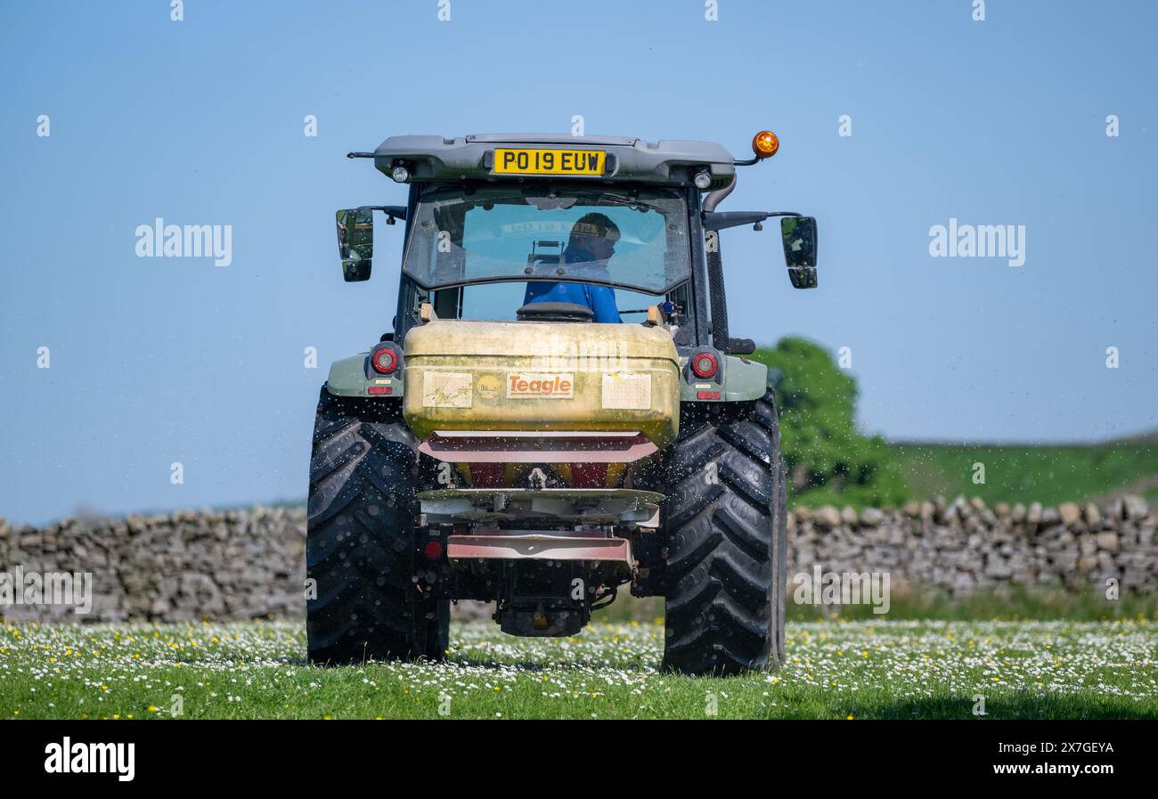 Farmer spreading fertiliser on a traditional hay meadow in the ...