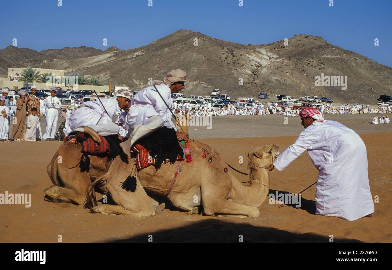 Mudayrib, Oman, Arabian Peninsula, Middle East - Camel jockeys prepare ...