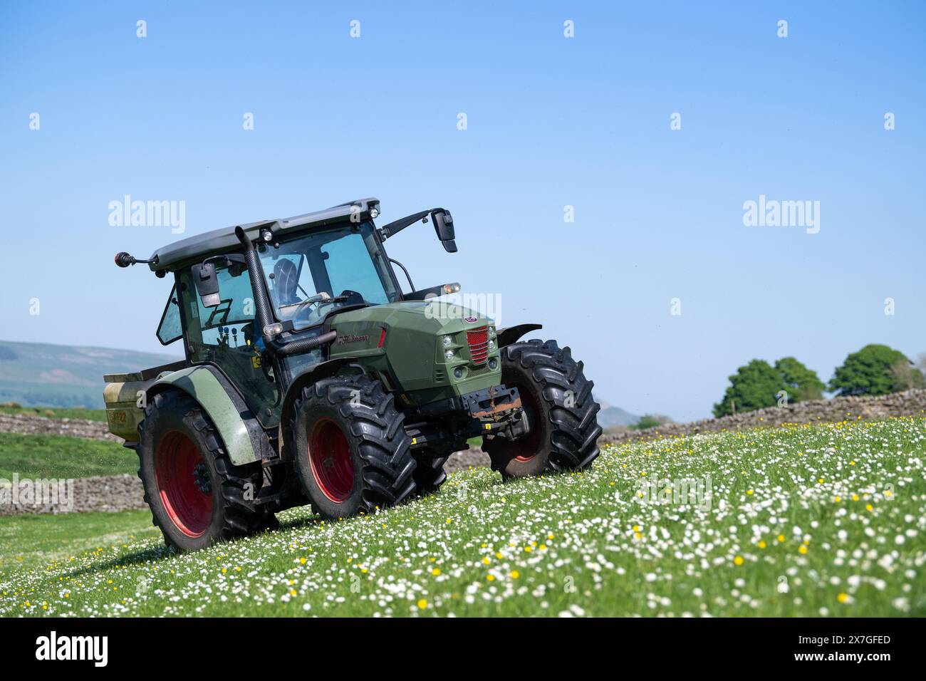 Farmer spreading fertiliser on a traditional hay meadow in the ...