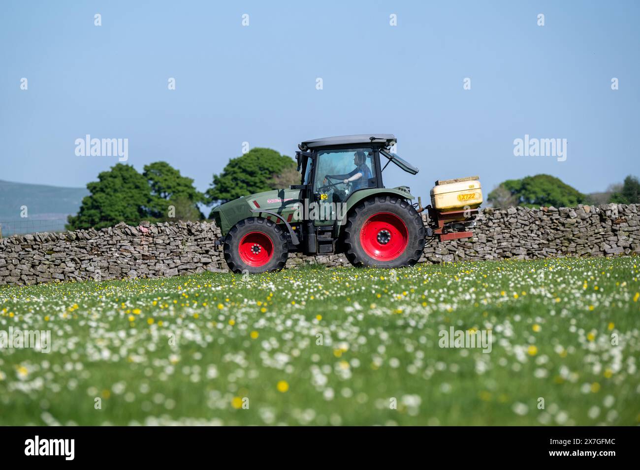 Farmer spreading fertiliser on a traditional hay meadow in the ...