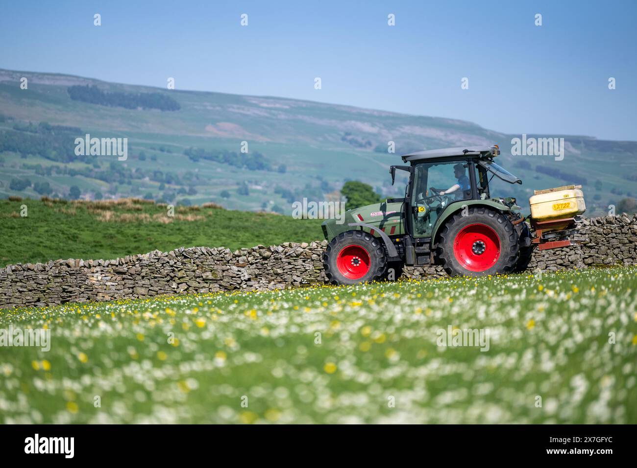 Farmer spreading fertiliser on a traditional hay meadow in the ...