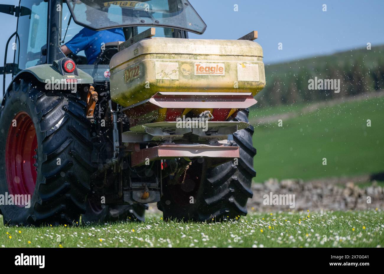 Farmer spreading fertiliser on a traditional hay meadow in the ...
