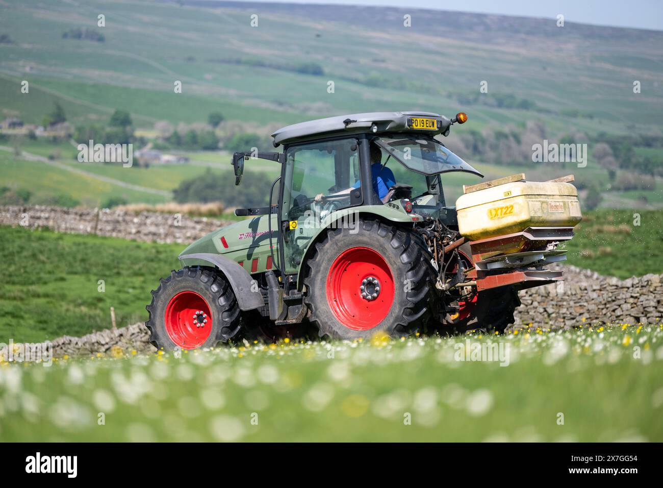 Farmer spreading fertiliser on a traditional hay meadow in the ...