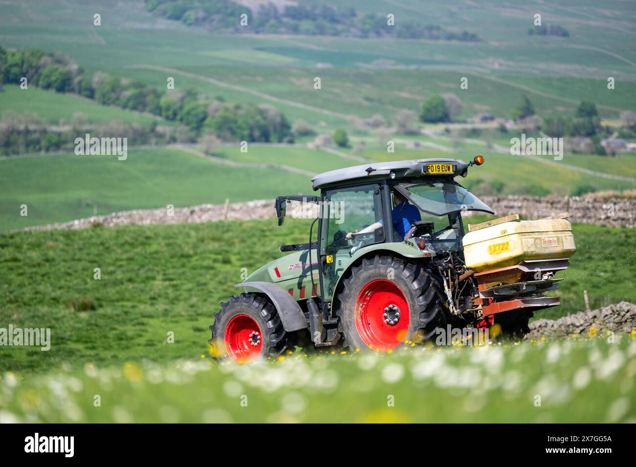Farmer spreading fertiliser on a traditional hay meadow in the ...