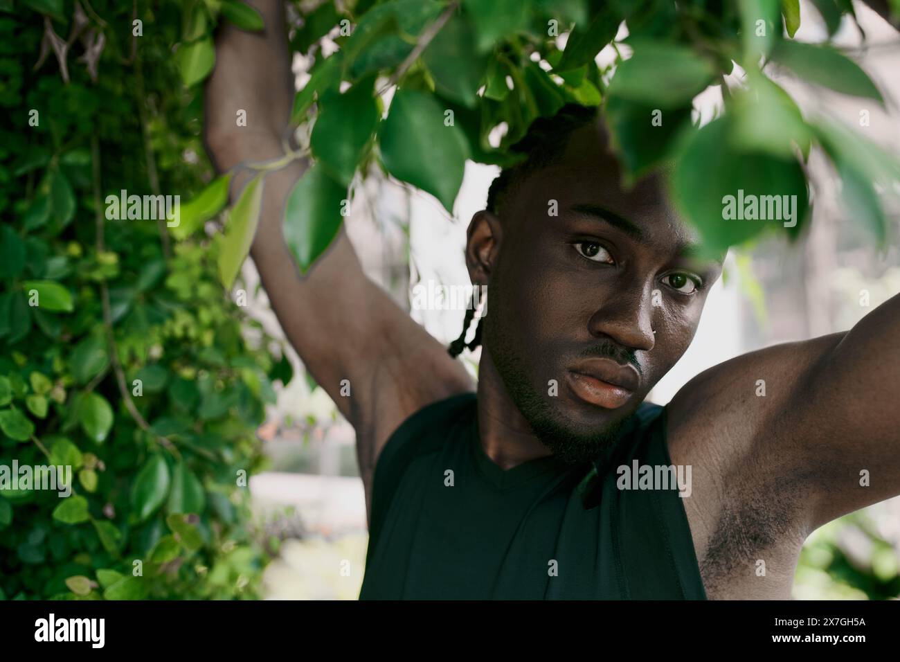 Handsome African American man with dreadlocks standing gracefully under ...