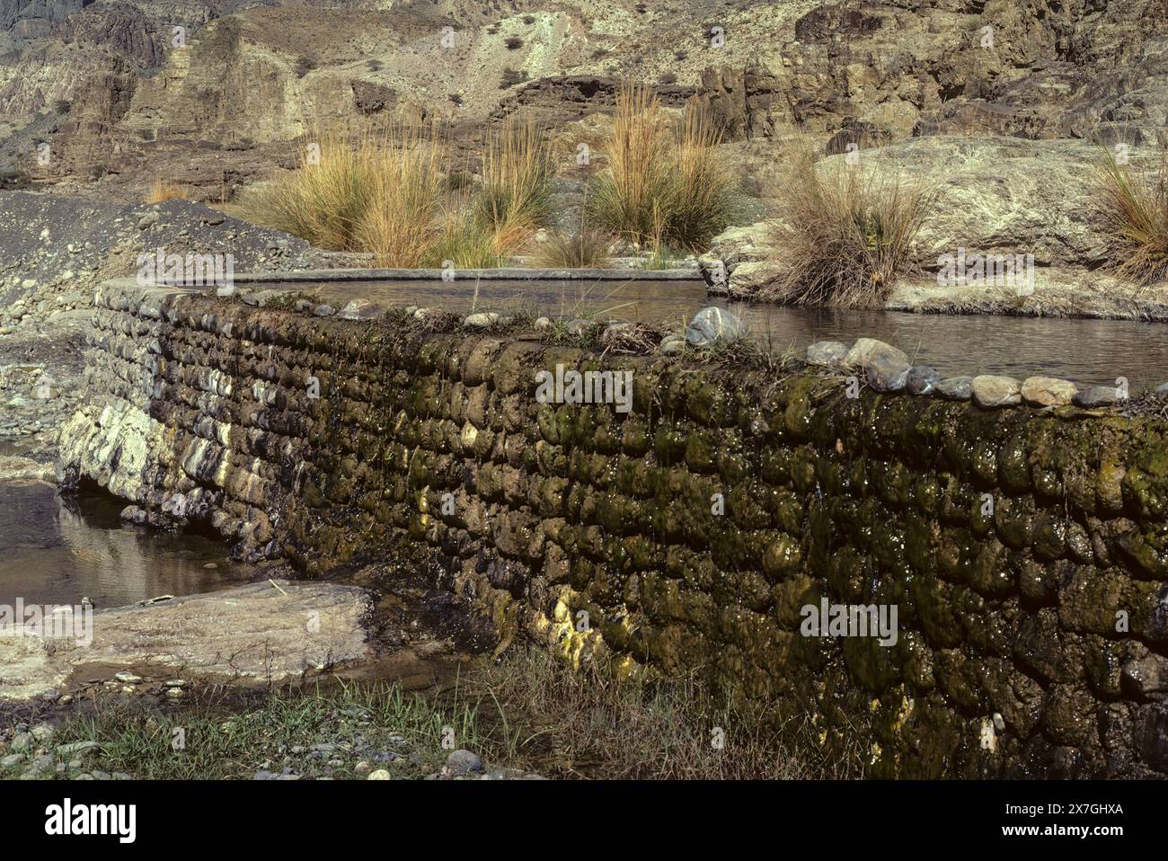 Wadi Daika, Oman, Arabian Peninsula, Middle East. A stone wall creates ...