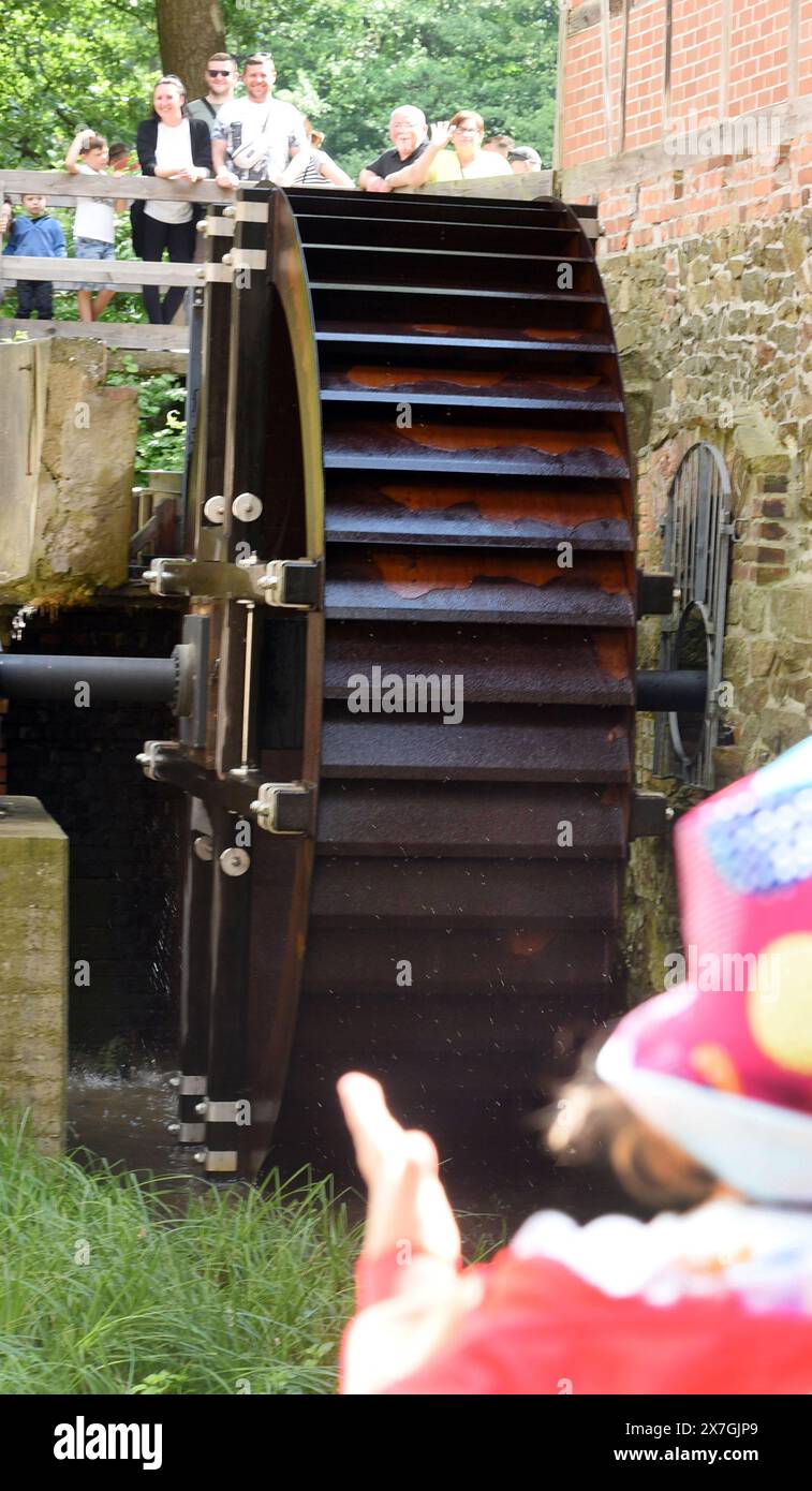 20 May 2024, Saxony, Bad Düben: Visitors stand at the 500-year-old ...