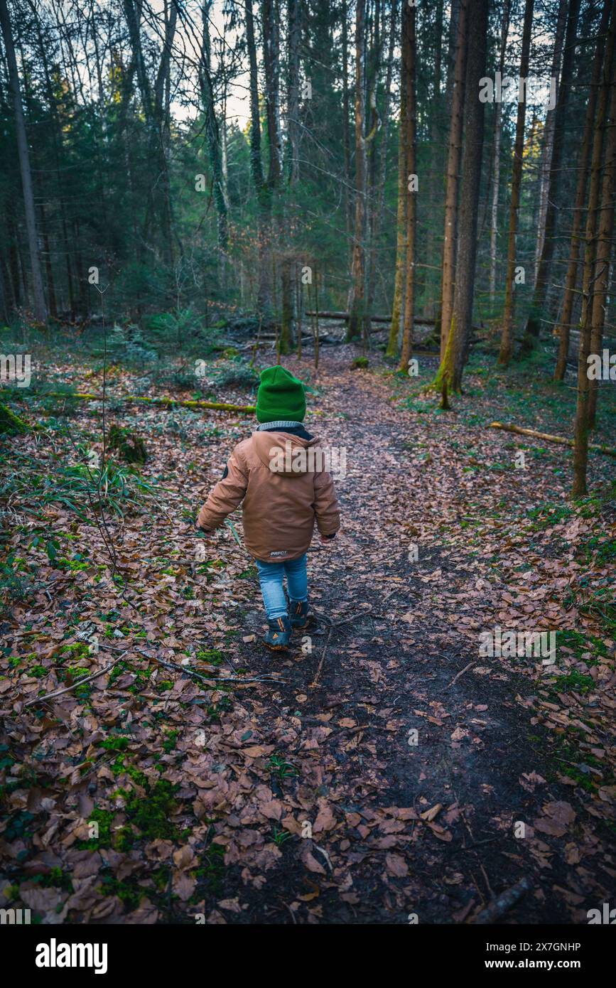 forest, hike, child, walk, boy, little boy, forest path Stock Photo - Alamy