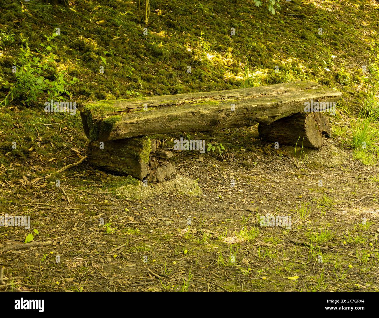 An old wooden bench hidden in the forest. A nice place to rest after a ...