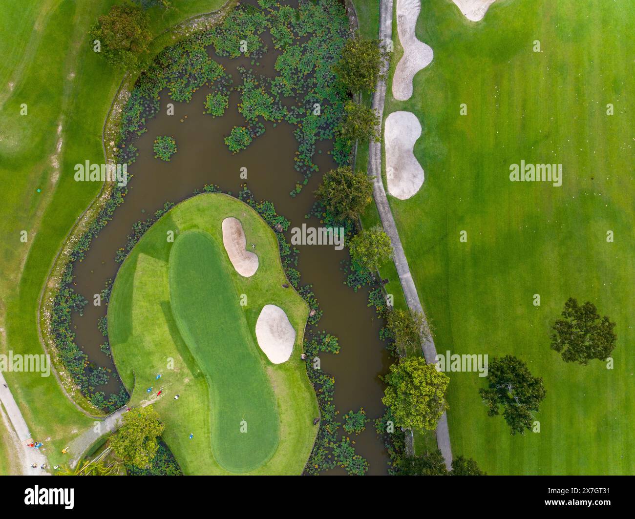 Aerial view of beautiful green golf field fairway and putting green ...