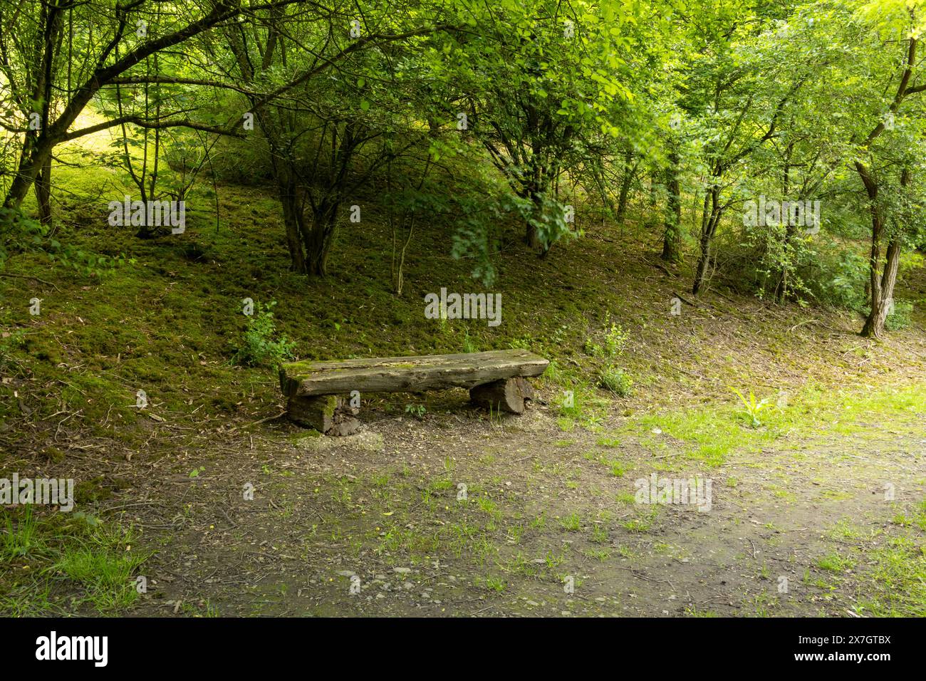 An old wooden bench hidden in the forest. A nice place to rest after a ...