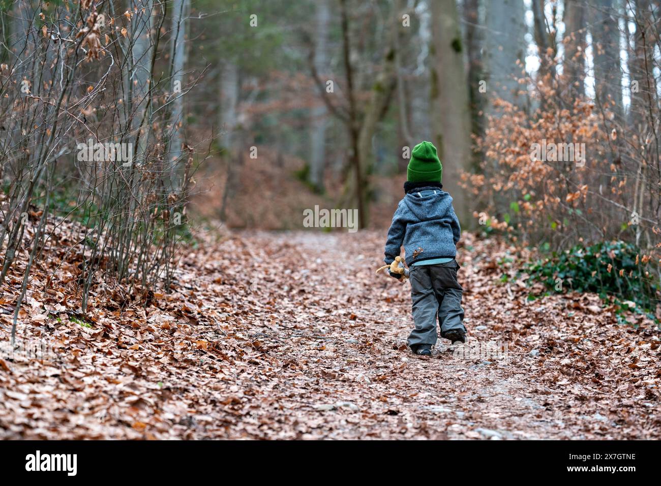 boy, children, forest, cute, little boy, family, alone, sad, happy ...