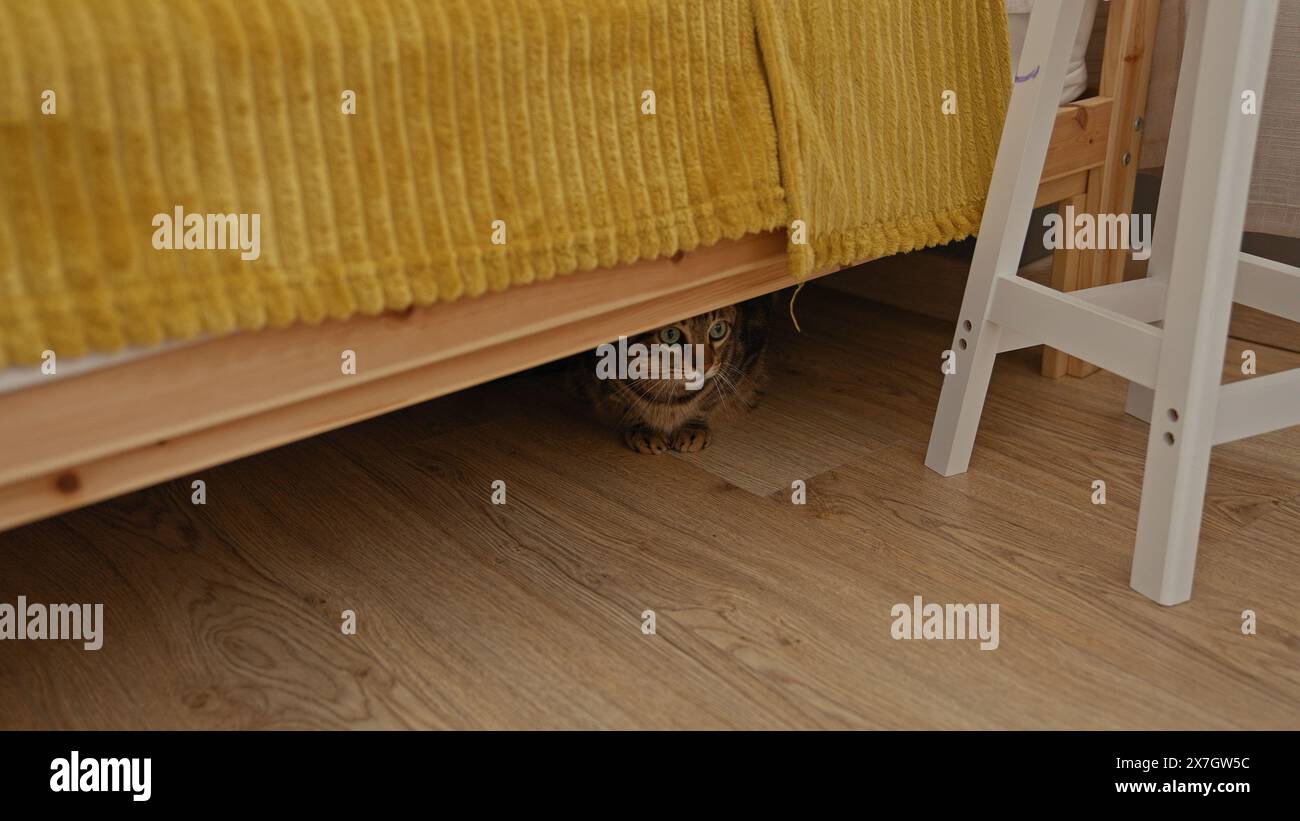 A cat is hiding under a bed inside a home with wooden floors and a ...