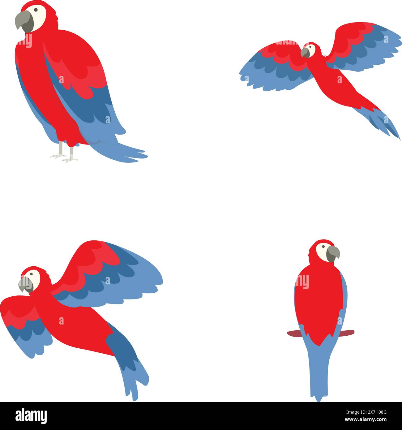 Parrot icons set cartoon vector. Beautiful colorful parrot macaw ...