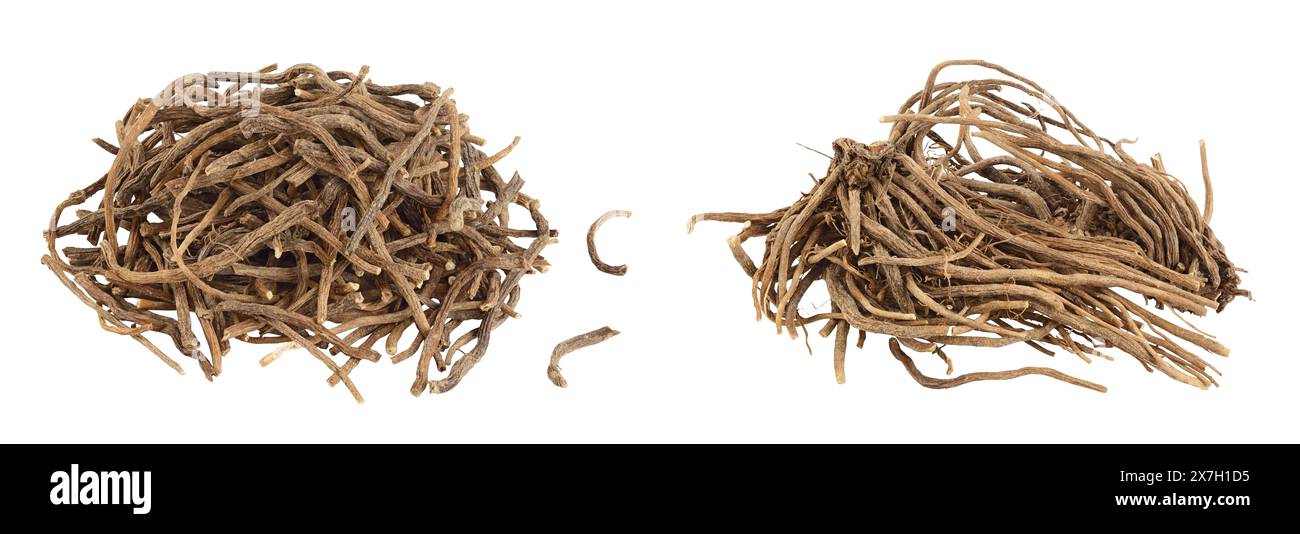 Dried Valerian root isolated on white background. Valeriana officinalis ...