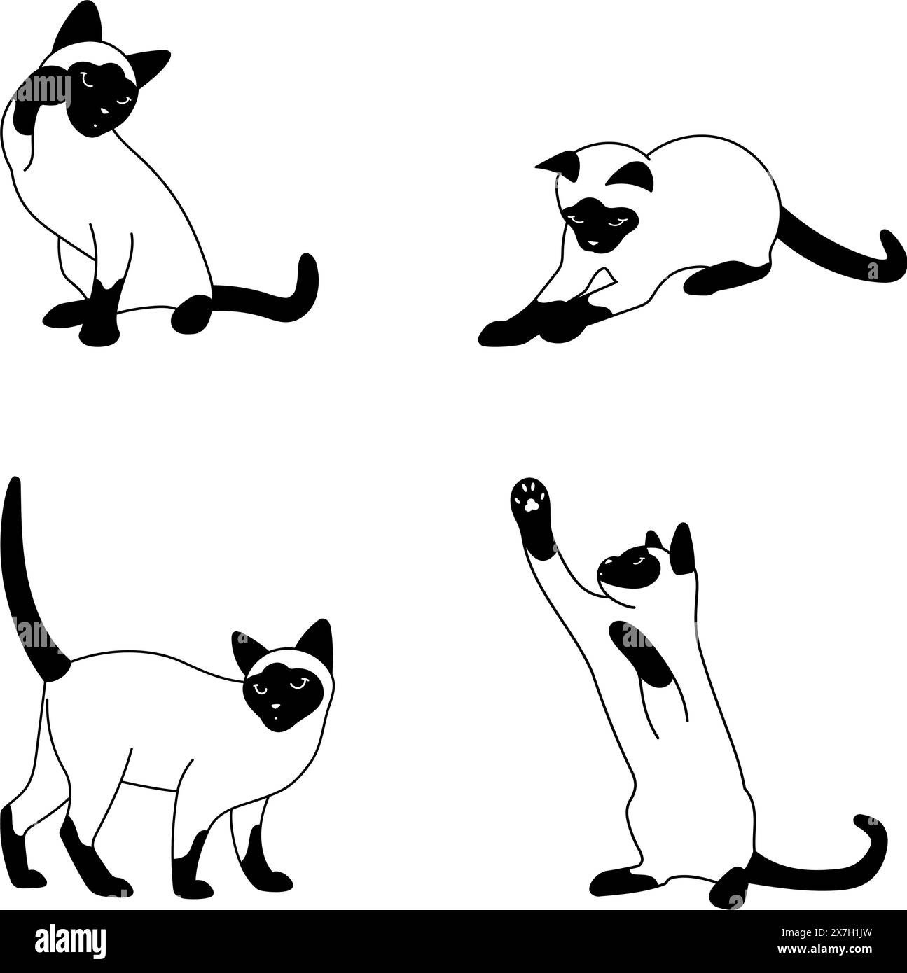 Thai cat vector set, cats in different poses Stock Vector Image & Art ...