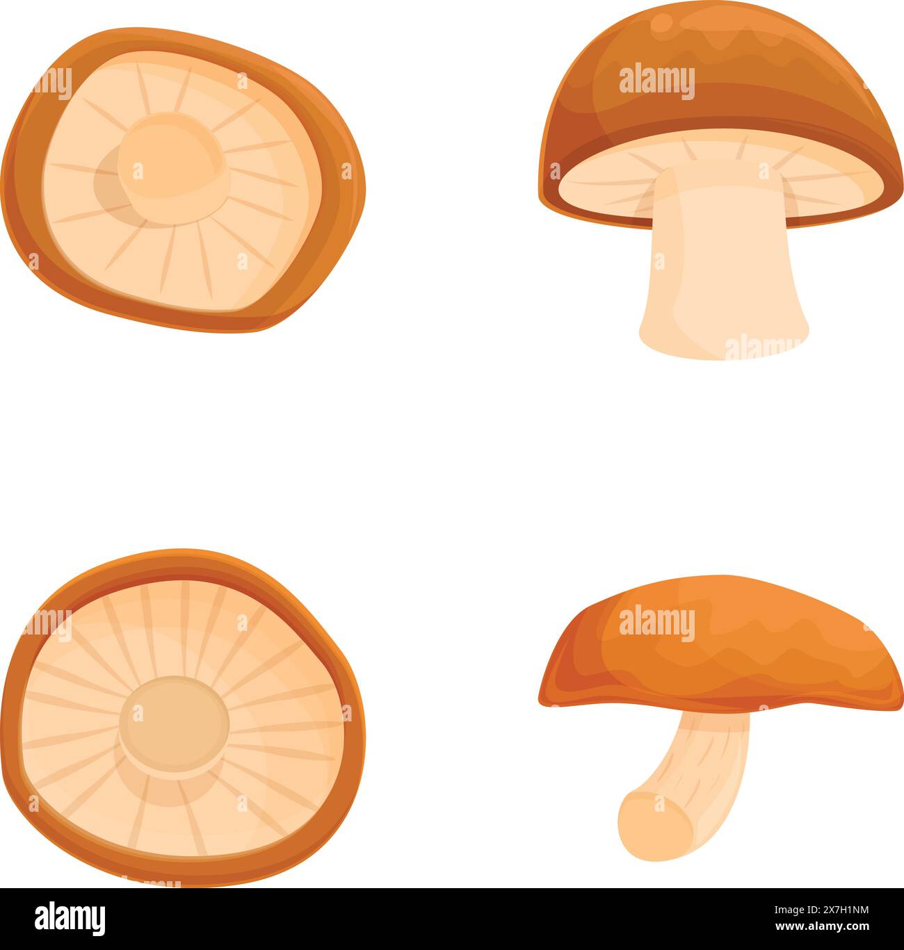 Shiitake icons set cartoon vector. Asian shiitake mushroom or fungi ...