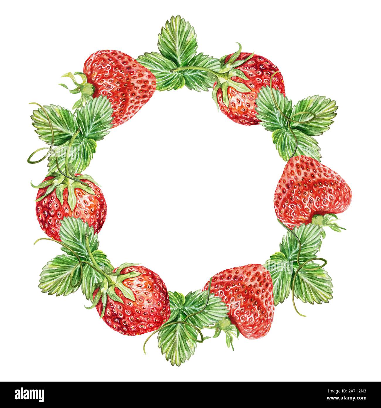 Strawberry. Round frame. Berries, leaves, flowers. Watercolor ...