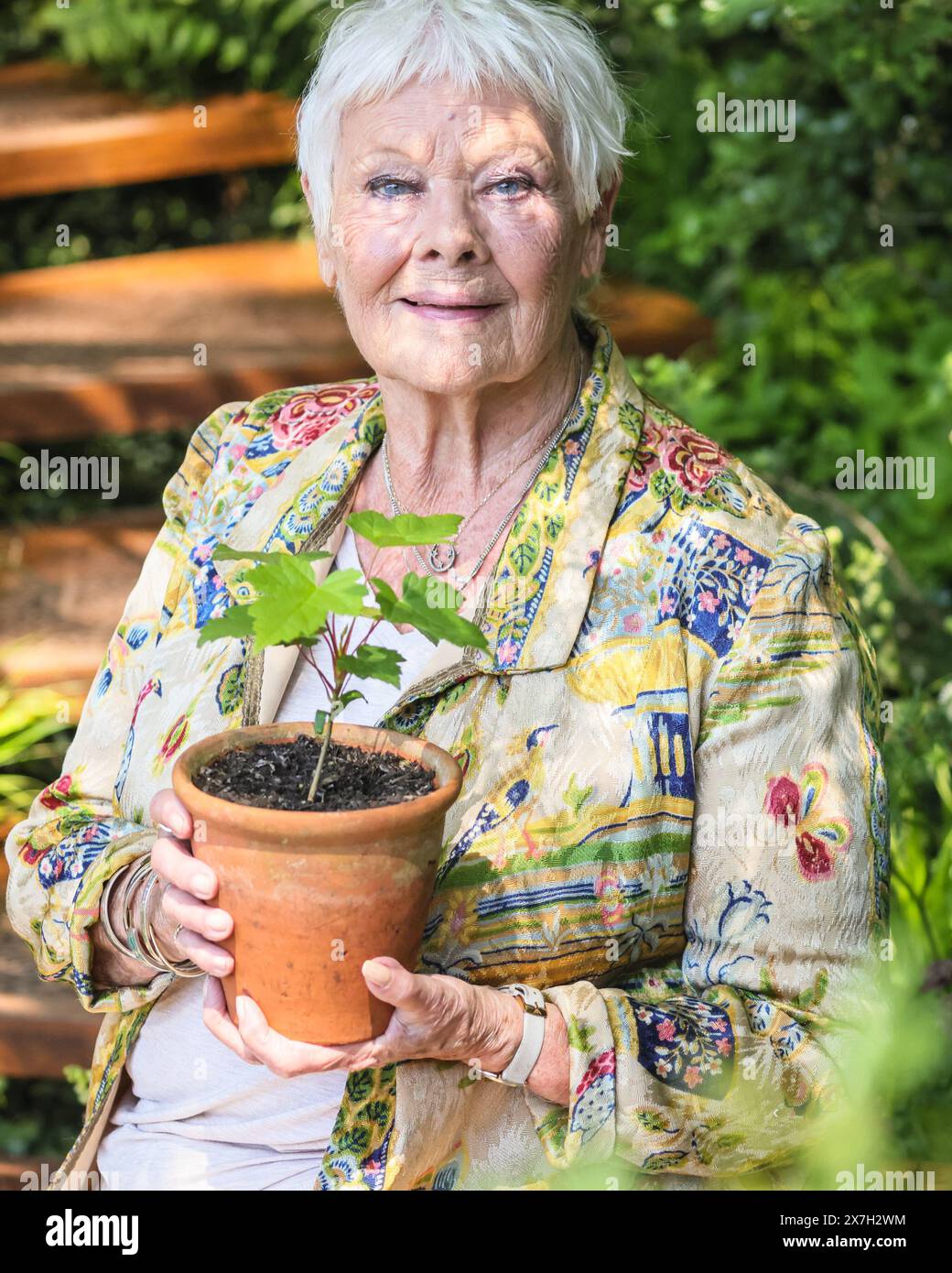 London, UK. 20th May, 2024. Dame Judi Dench attends the Octavia Hill ...
