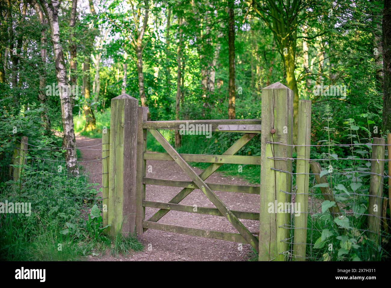 Explore Beyond The Gate Stock Photo - Alamy