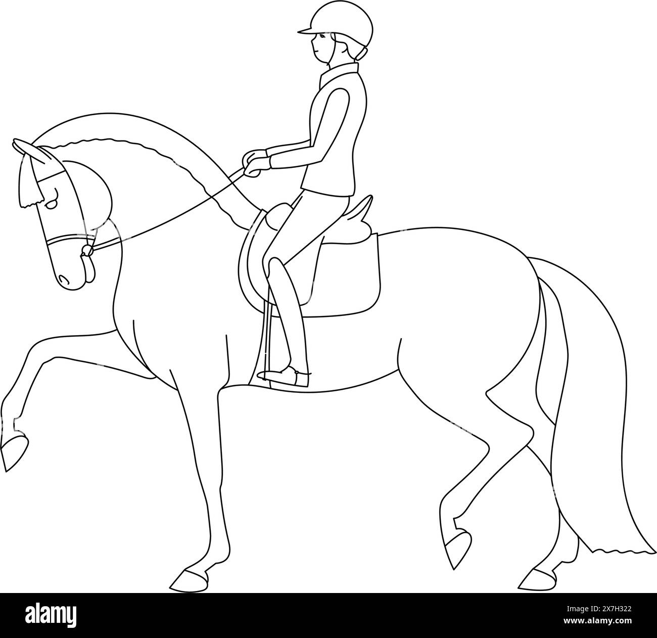 Rider and horse move forward at a beautiful trot, linear pattern for ...