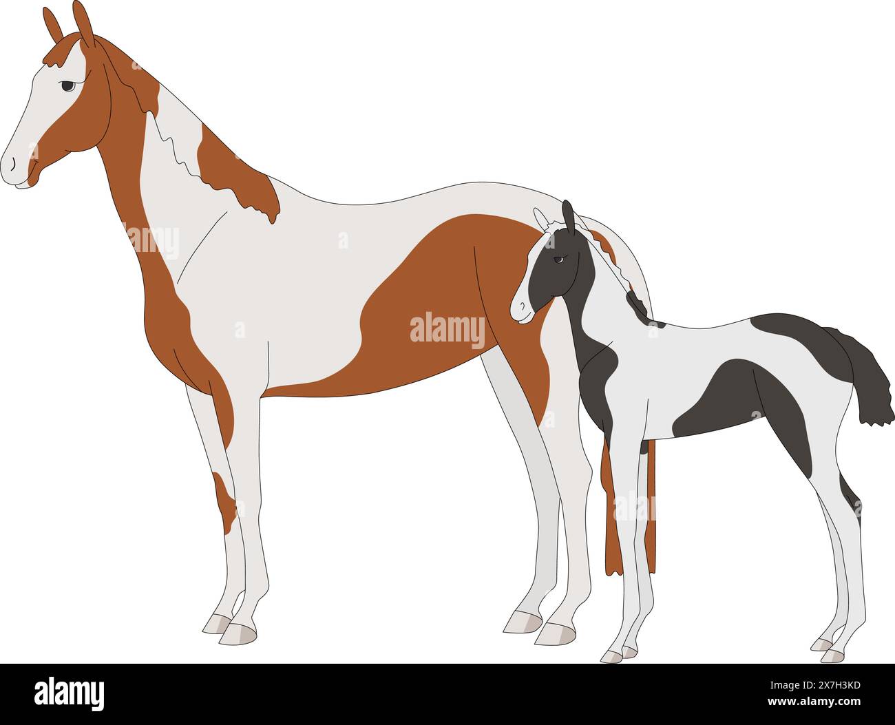 Warm-blooded mare with foal, piebald color. Vector illustration Stock ...