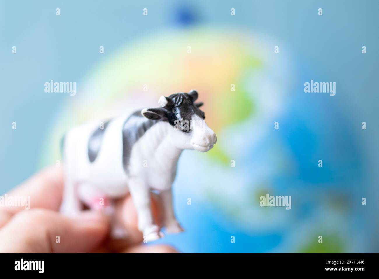 Plastic toy cow in front of world model background. Cows breeding and ...
